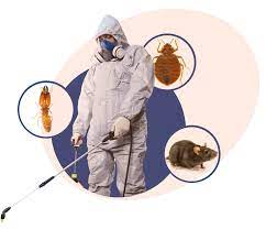 4.9 ⭐ Ronin Pest Control in Los Angeles - Reviews - Phone, Address ...