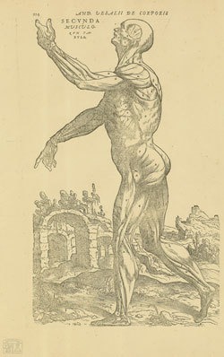 5 ⭐ Tony Senecal Massage Therapy in Austin - Reviews - Phone, Address ...